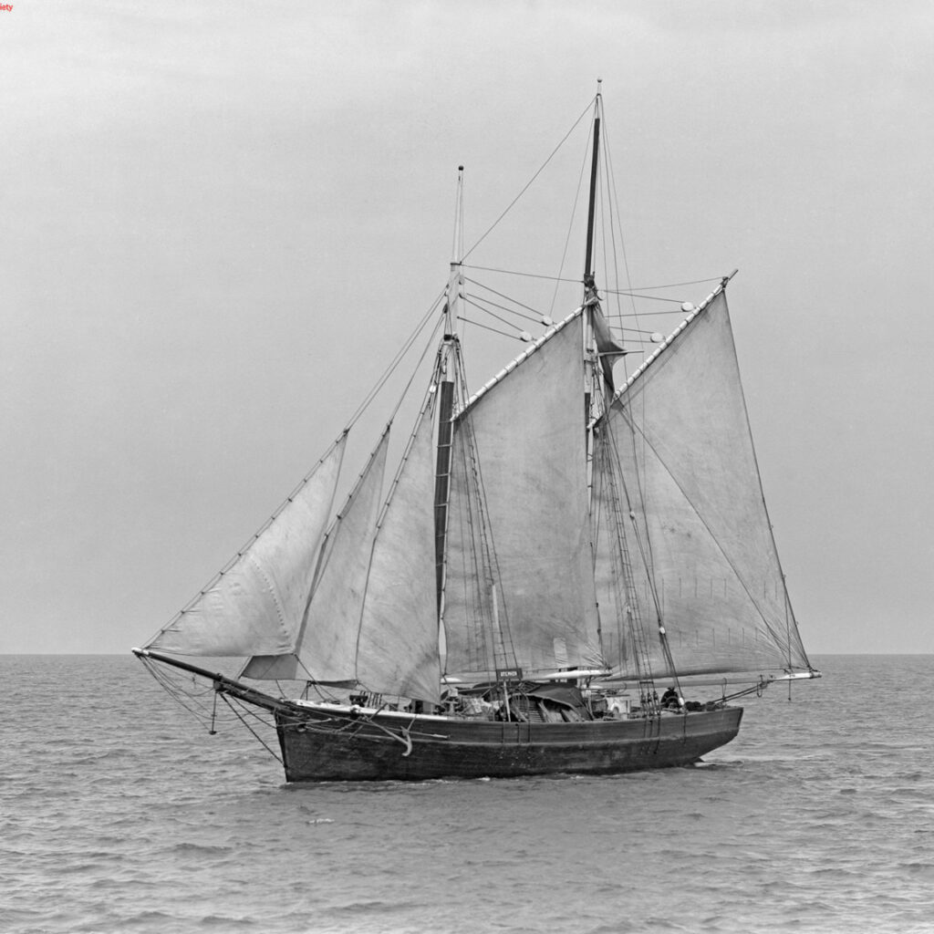 Exhibitions - PHILLIP ISLAND AND DISTRICT HISTORICAL SOCIETY
